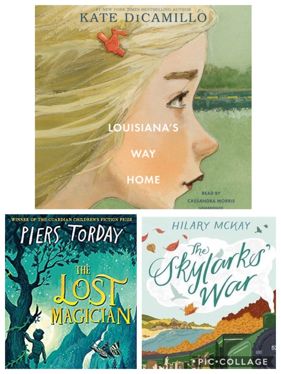 2018 – The Highlights of my Reading Year In Children’s Books | Library Lady