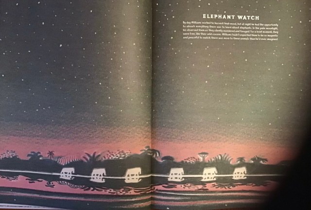 Bandoola The Great Elephant Rescue by William Grill | Library Lady