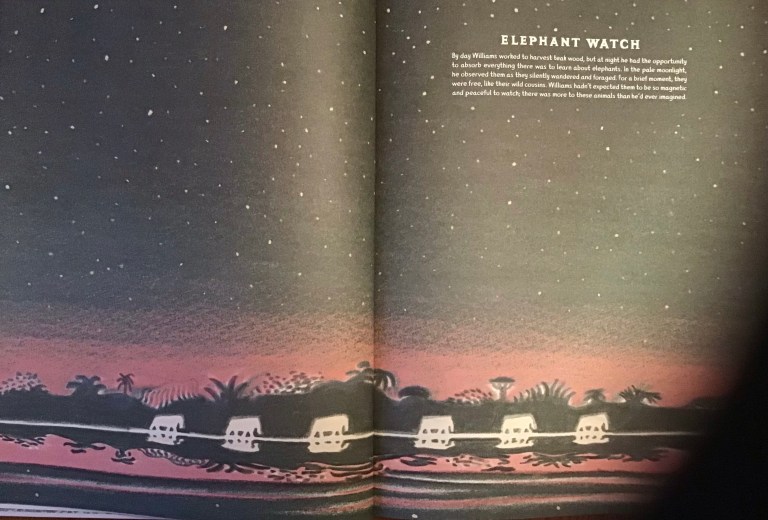 Bandoola The Great Elephant Rescue by William Grill | Library Lady