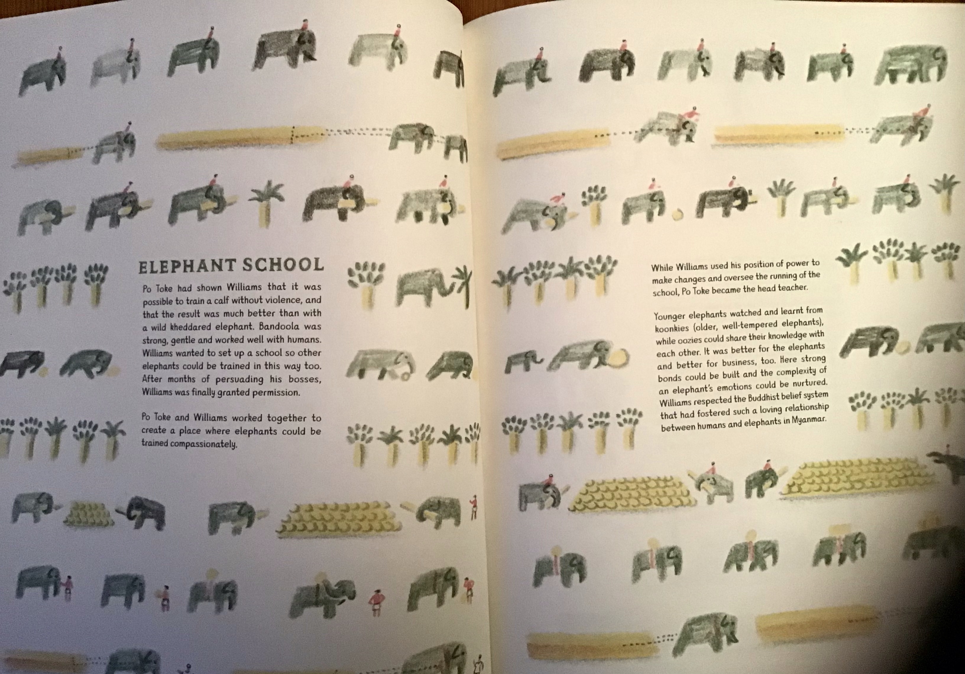 Bandoola The Great Elephant Rescue by William Grill | Library Lady