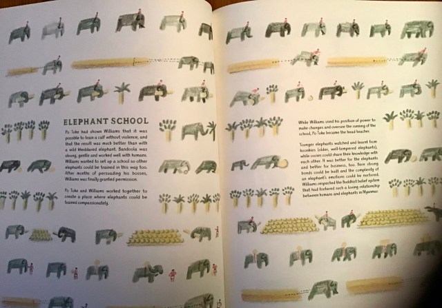 Bandoola The Great Elephant Rescue by William Grill | Library Lady