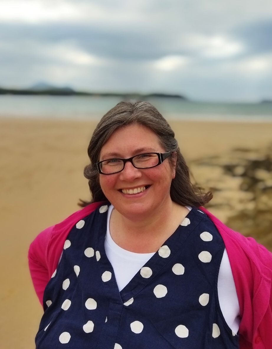 Blog Tour: The Hunt for David Berman by Claire Mulligan | Library Lady