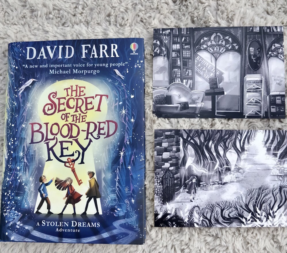 The Secret of the Blood Red-Key by David Farr illustrated by Kristina ...