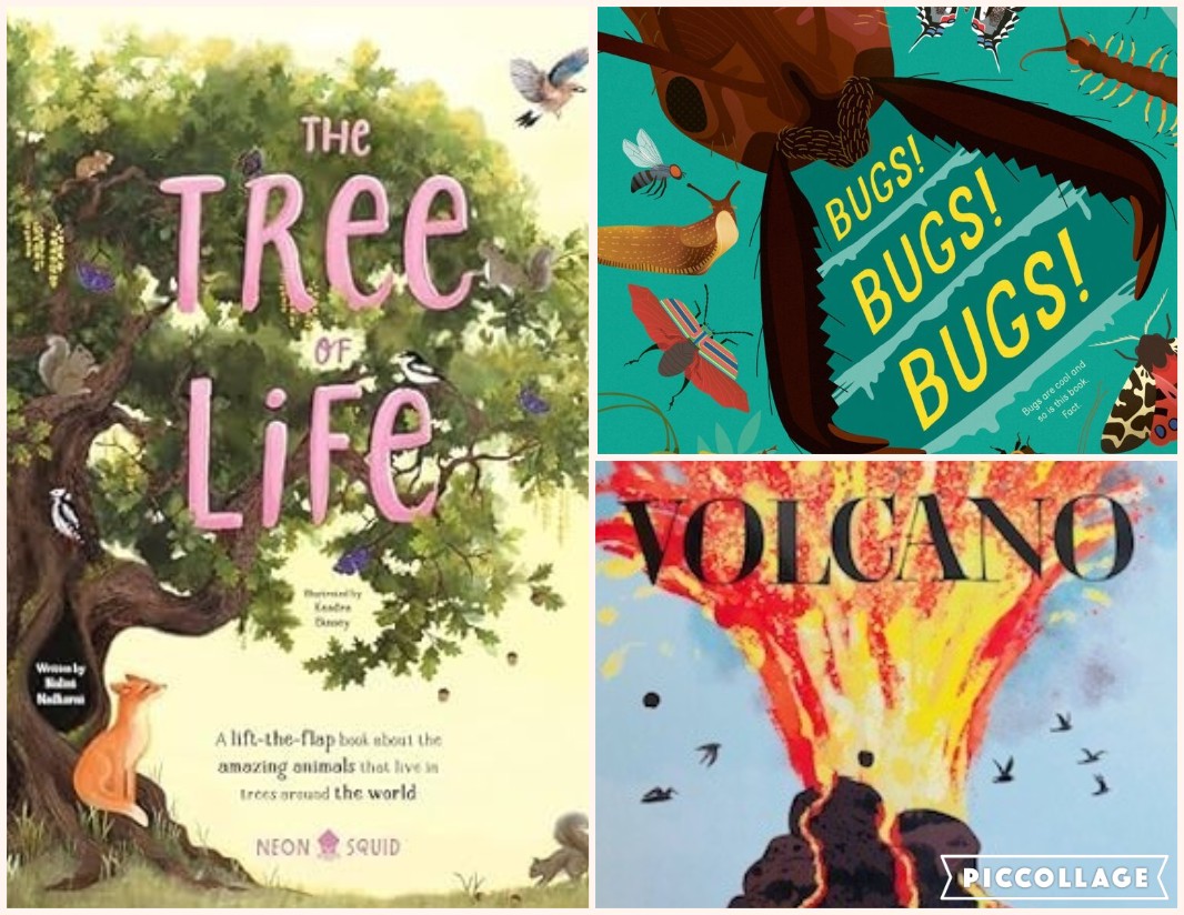 Engaging New Information Books for Children | Library Lady